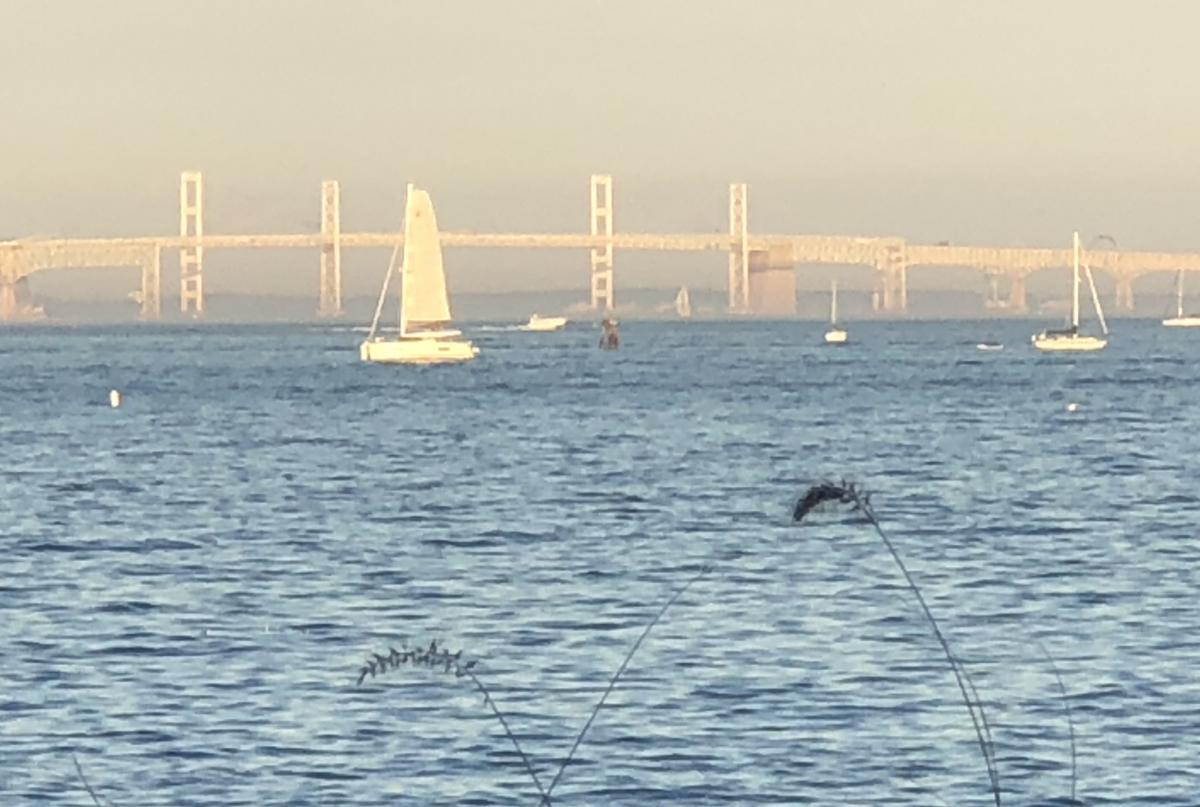 Out and About (Sort of): Here, But Not Settled by Howard Freedlander ...