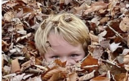 Little Leaf Rakers by Jamie Kirkpatrick - Cambridge Spy