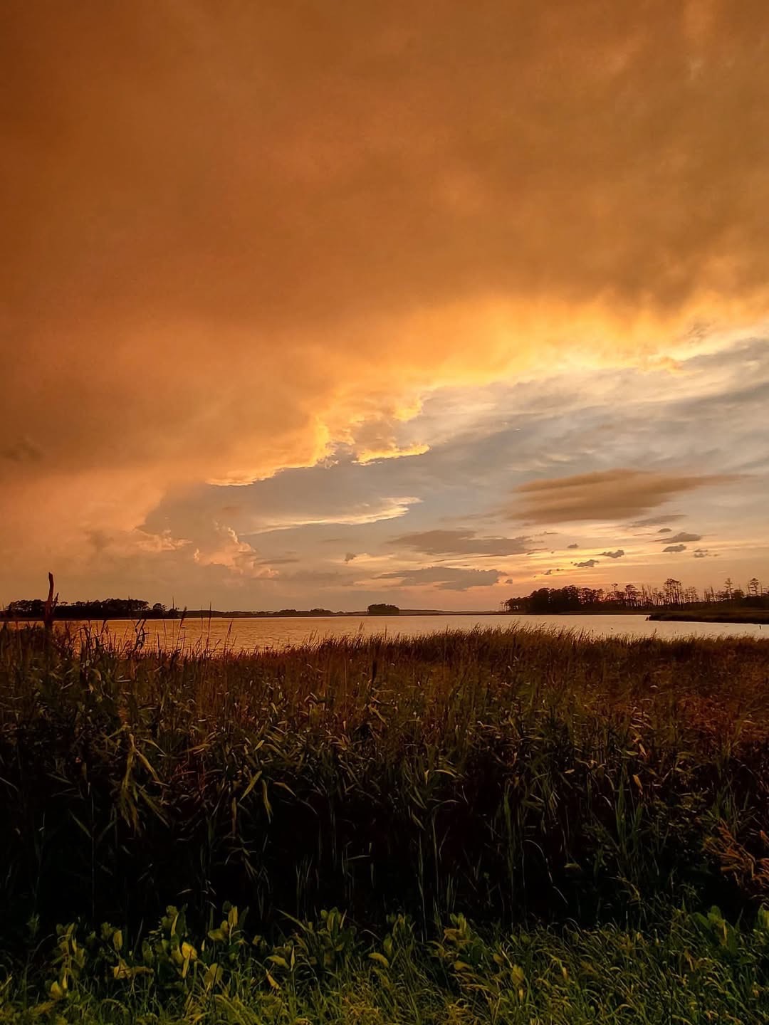 Chesapeake Lens: “The Artist at Work” by Wally Harper - Cambridge Spy