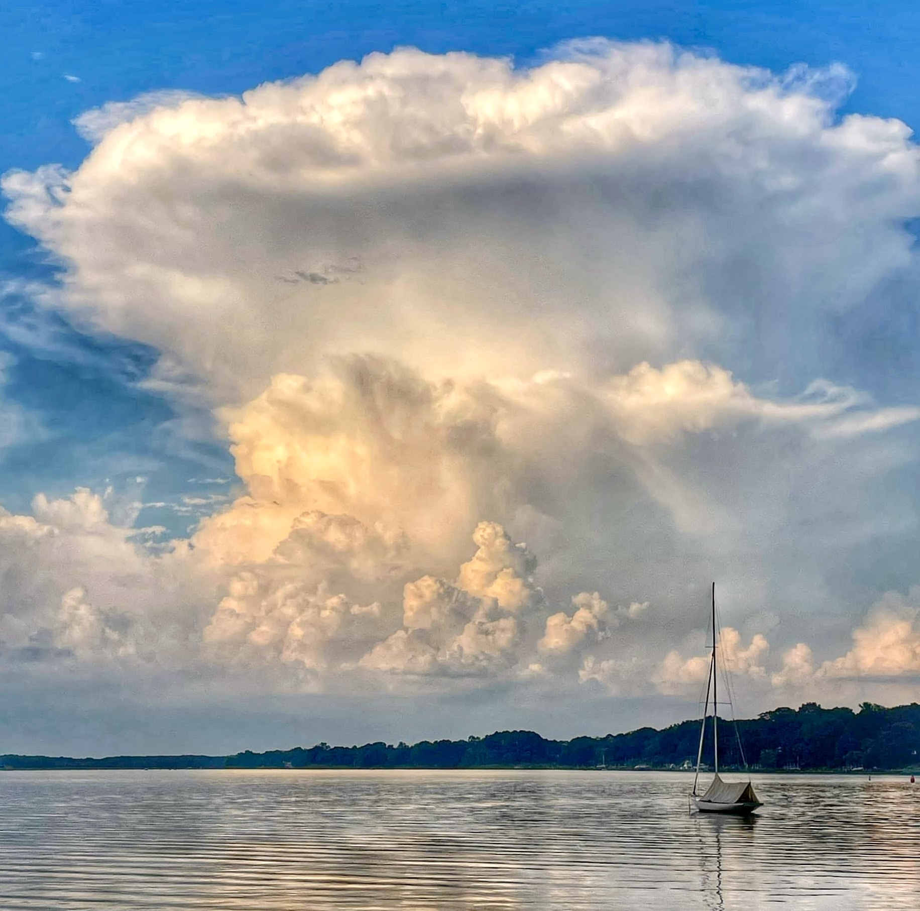 Summer’s End By Jamie Kirkpatrick - Cambridge Spy